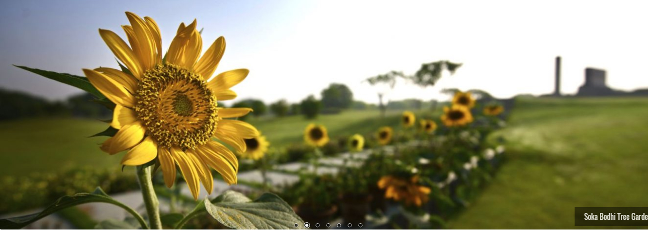 bsg-banner | Bharat Soka Gakkai (BSG)